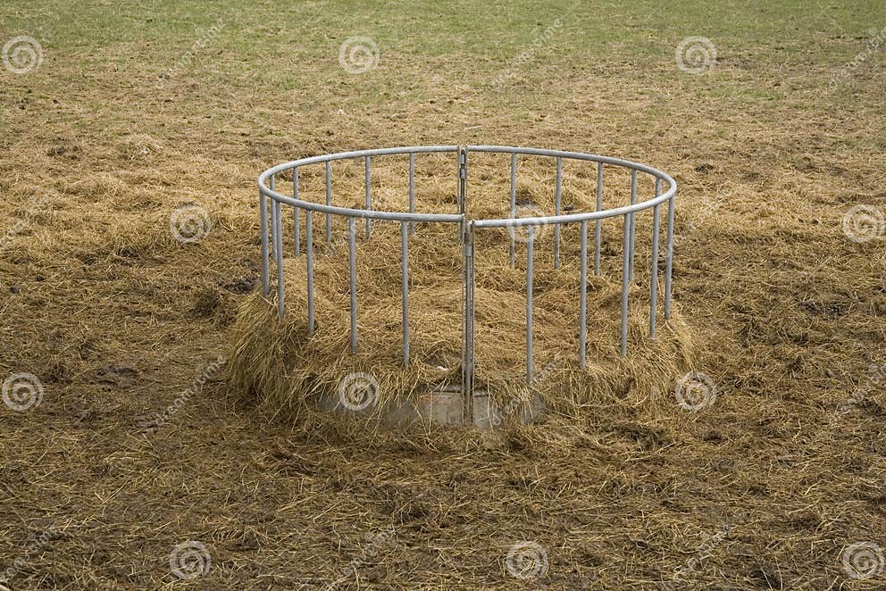 Hay Feeder for Farm Animals Stock Image - Image of circular ...