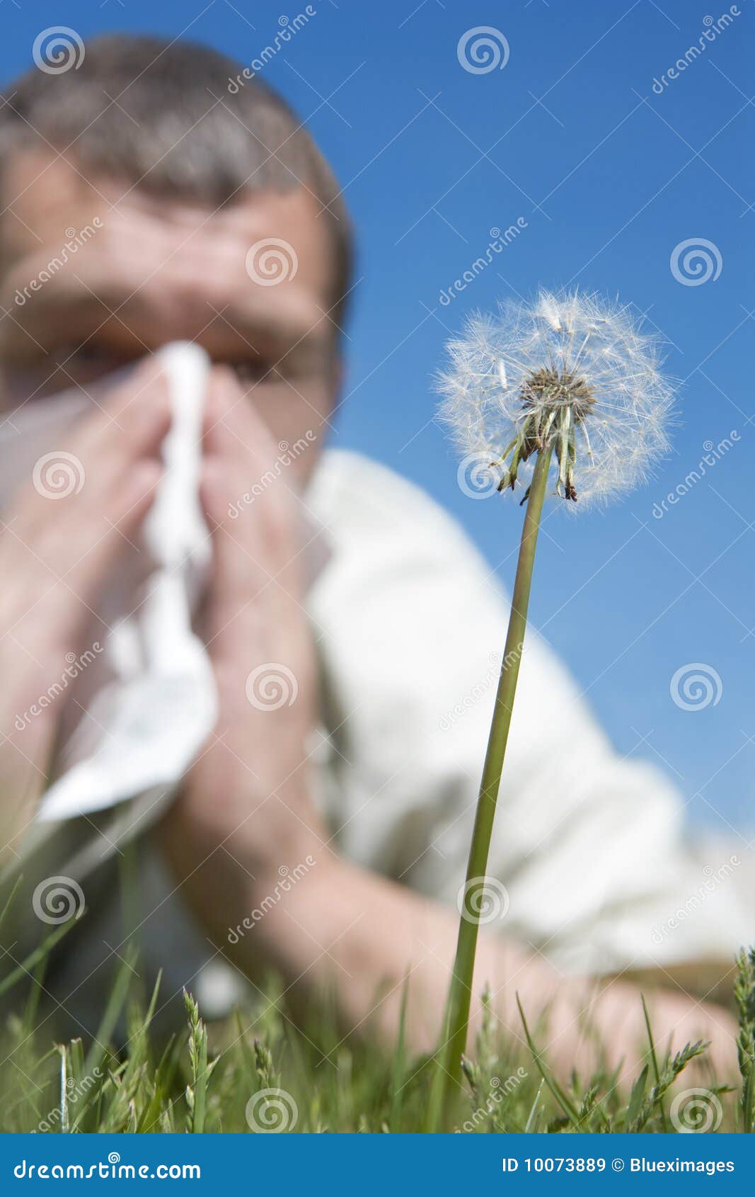 Hay fever stock image. Image of blowing, allergies, cold - 10073889