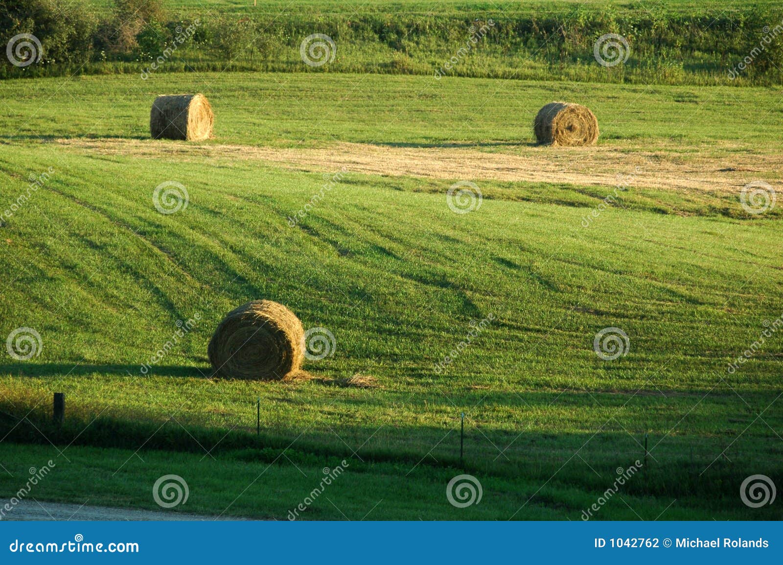 Hay field stock photo. Image of landscape, farming, scenic - 1042762