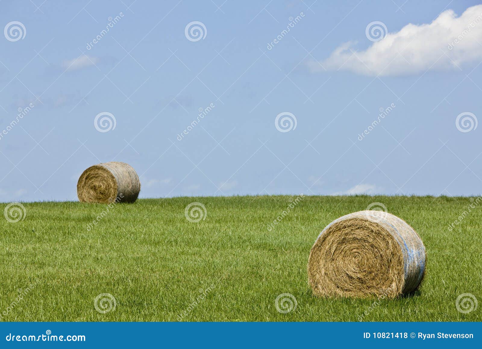 Hay Field stock photo. Image of agricultural, blue, rolled - 10821418