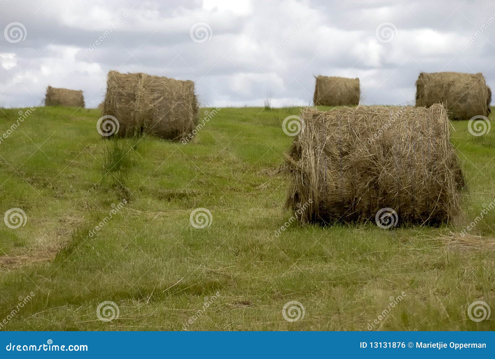 Hay field stock photo. Image of bale, haystack, arable - 13131876