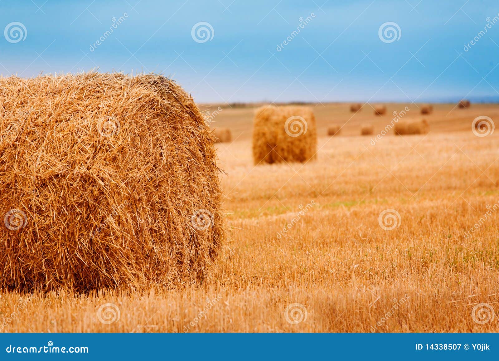 Hay field stock image. Image of blue, field, agriculture - 14338507