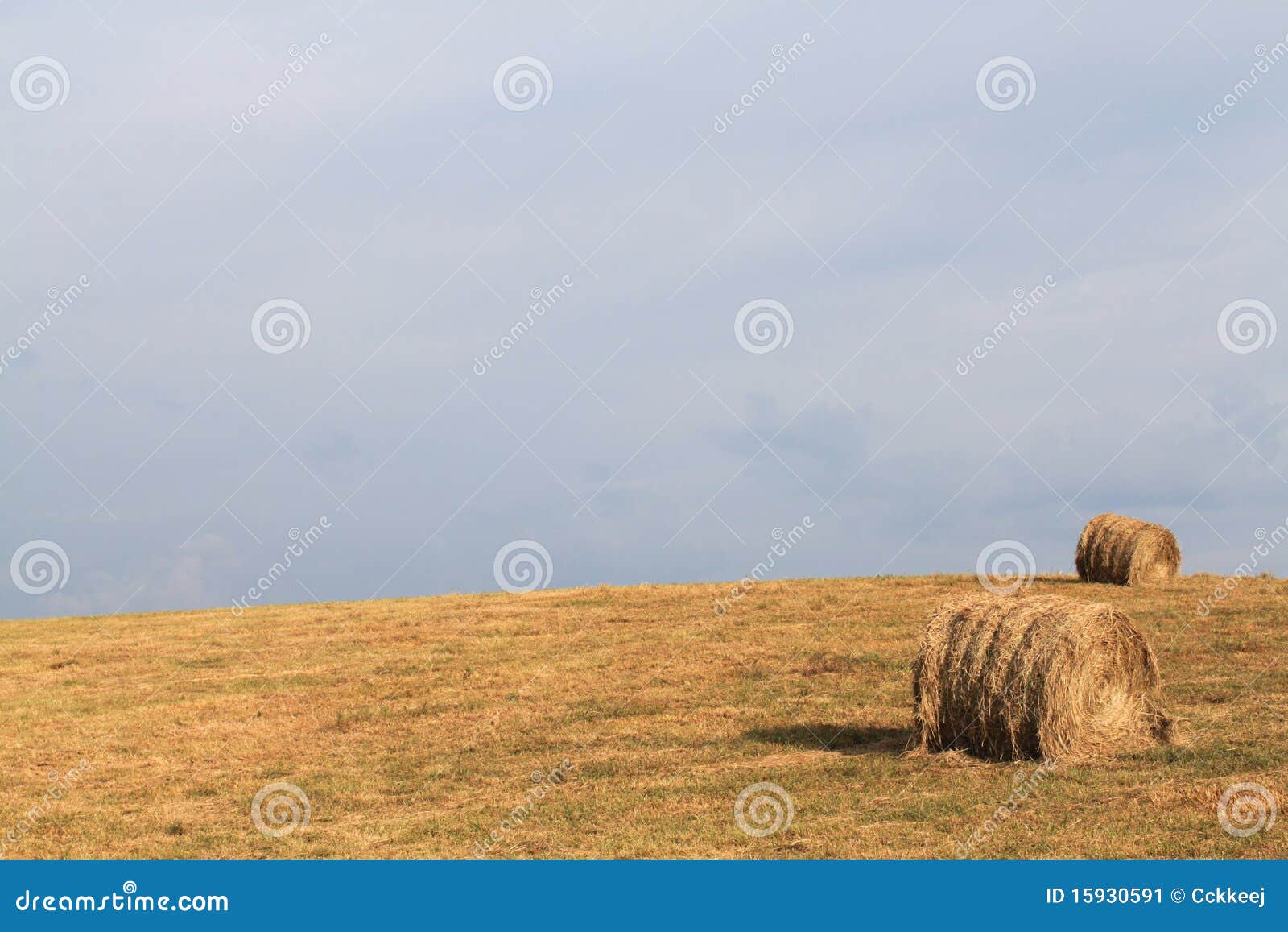 Hay in field 2 stock image. Image of cloudy, chaff, provender - 15930591