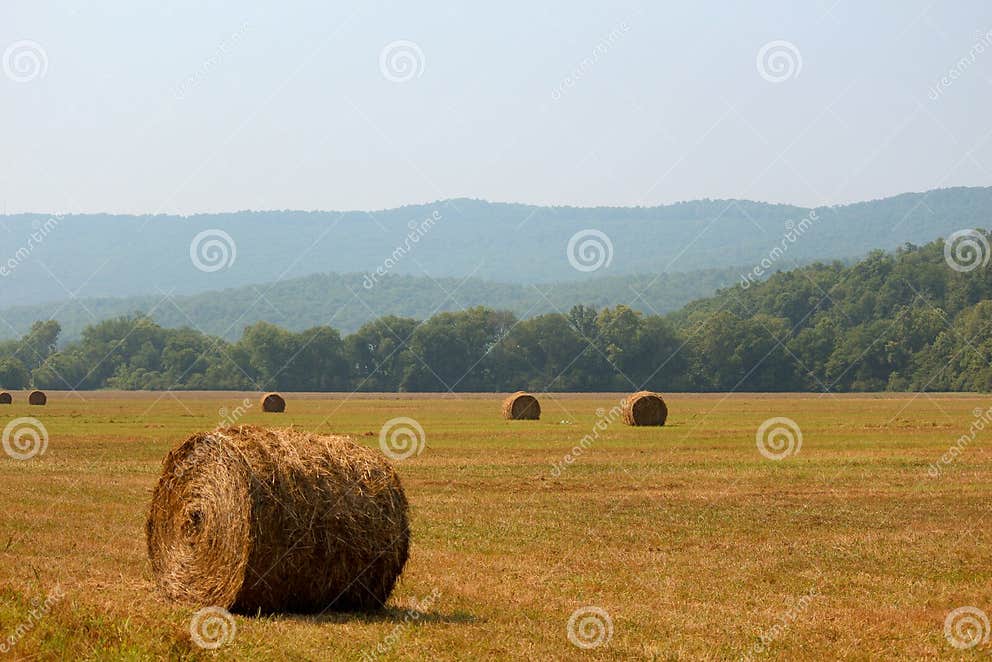 Hay field stock photo. Image of ridge, landscape, foothills - 20047088