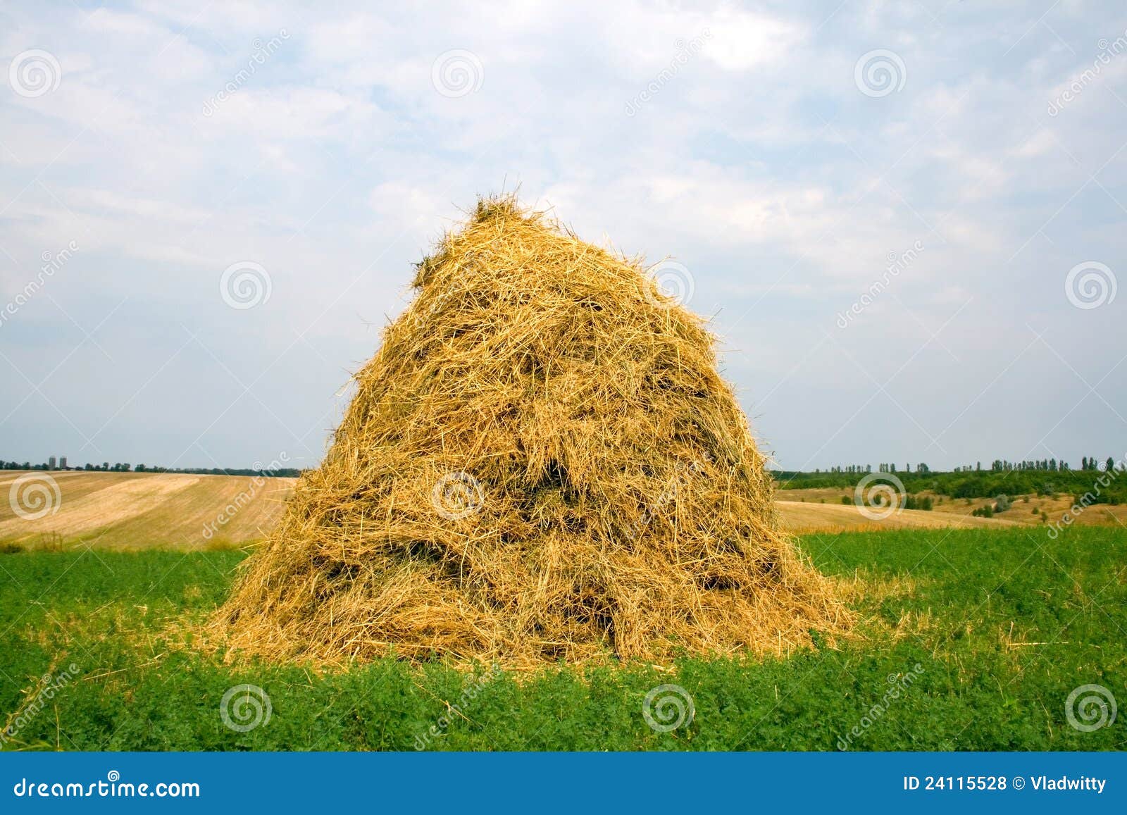 Hay Field stock photo. Image of countryside, farming - 24115528