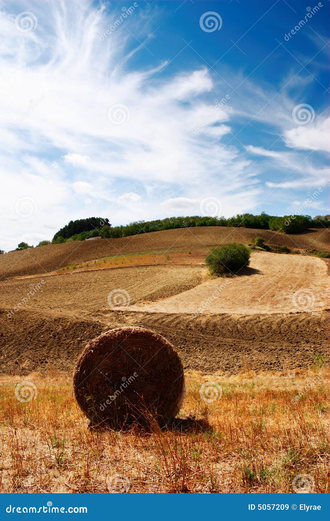 Hay field stock image. Image of grain, nature, mediterranean - 5057209