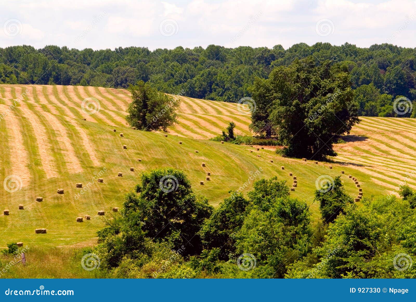 Hay Field stock photo. Image of products, virginia, farming - 927330