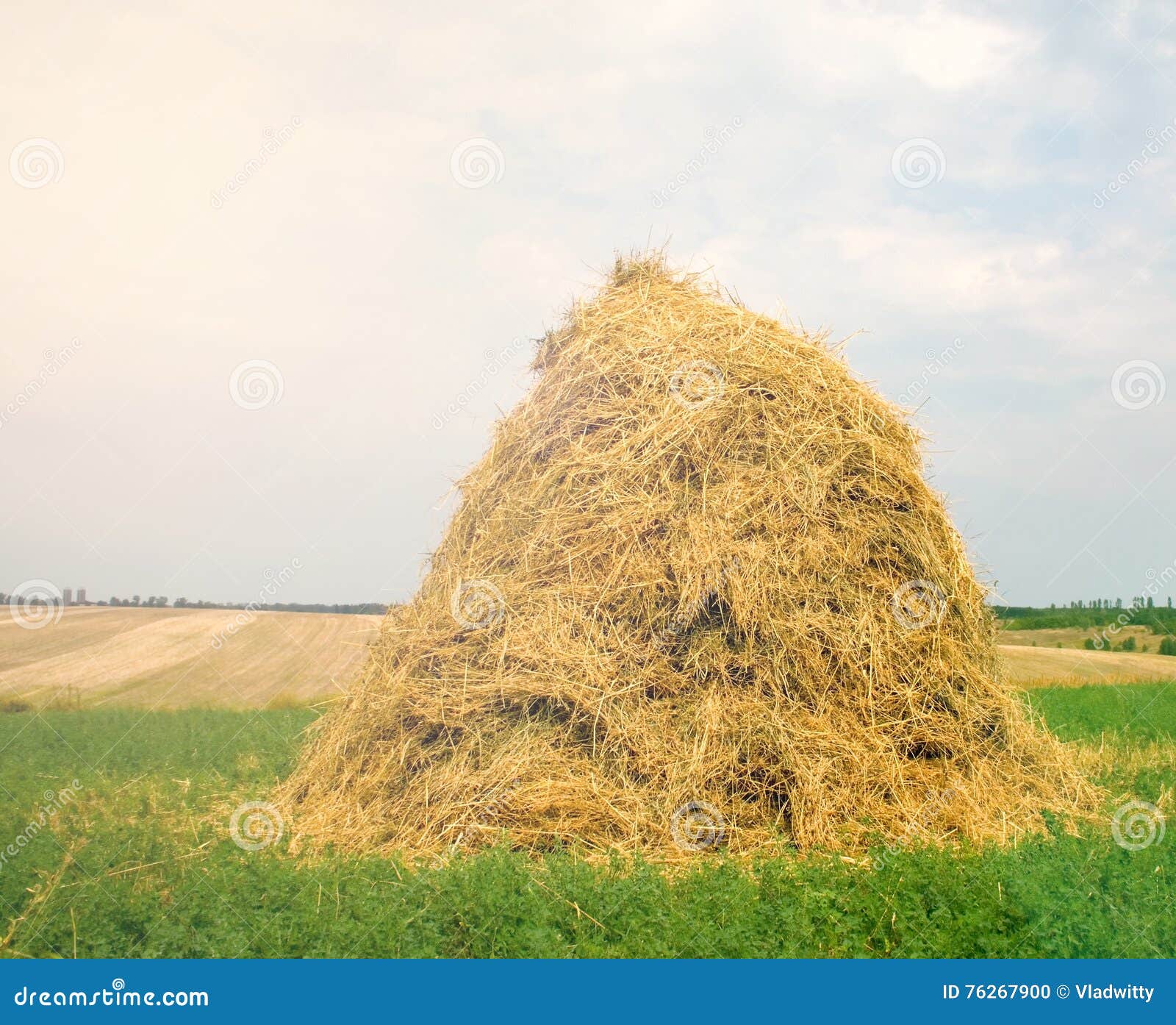 Hay Field stock photo. Image of harvest, harvested, rolls - 76267900