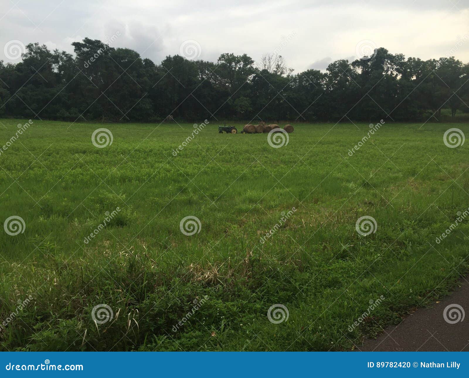 Hay stock photo. Image of harvested, july, field - 89782420