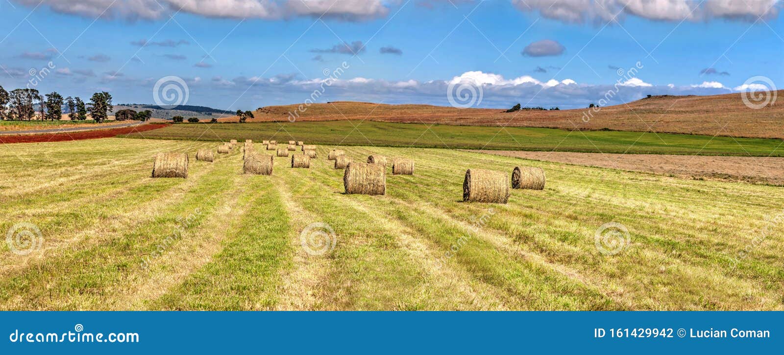 Hay in the field stock photo. Image of hayland, eight - 161429942
