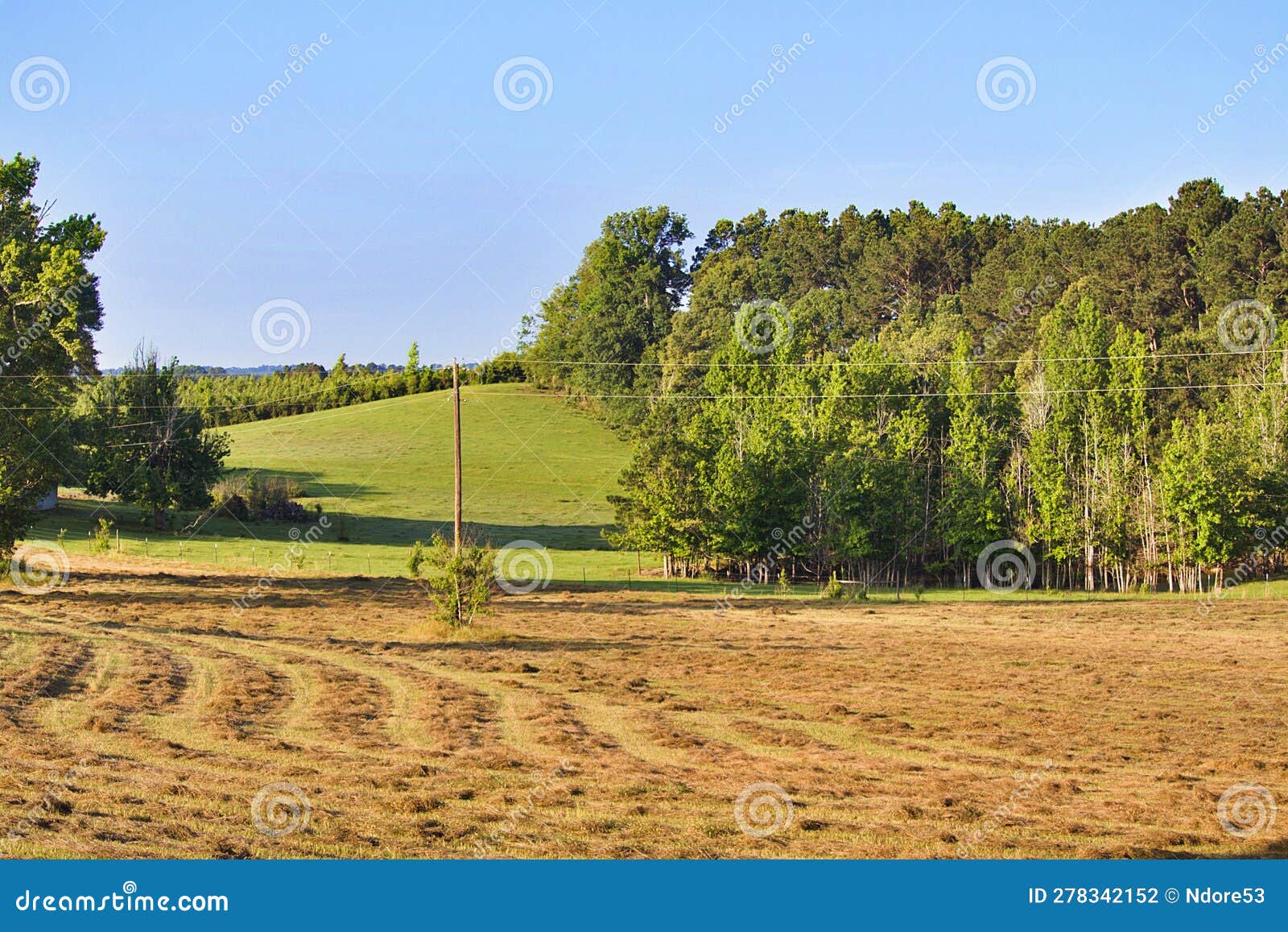 Hay Field stock photo. Image of bailer, tree, pasture - 278342152