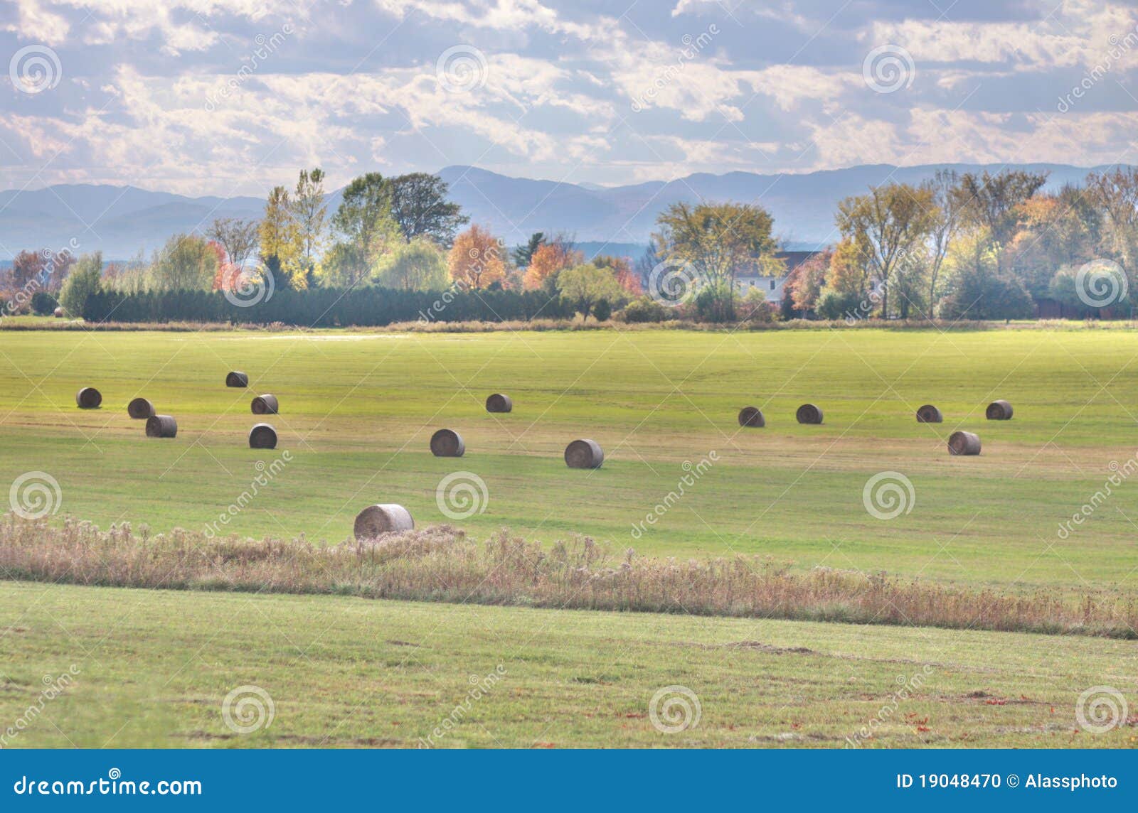 Hay field in the fall stock photo. Image of trees, landscape - 19048470