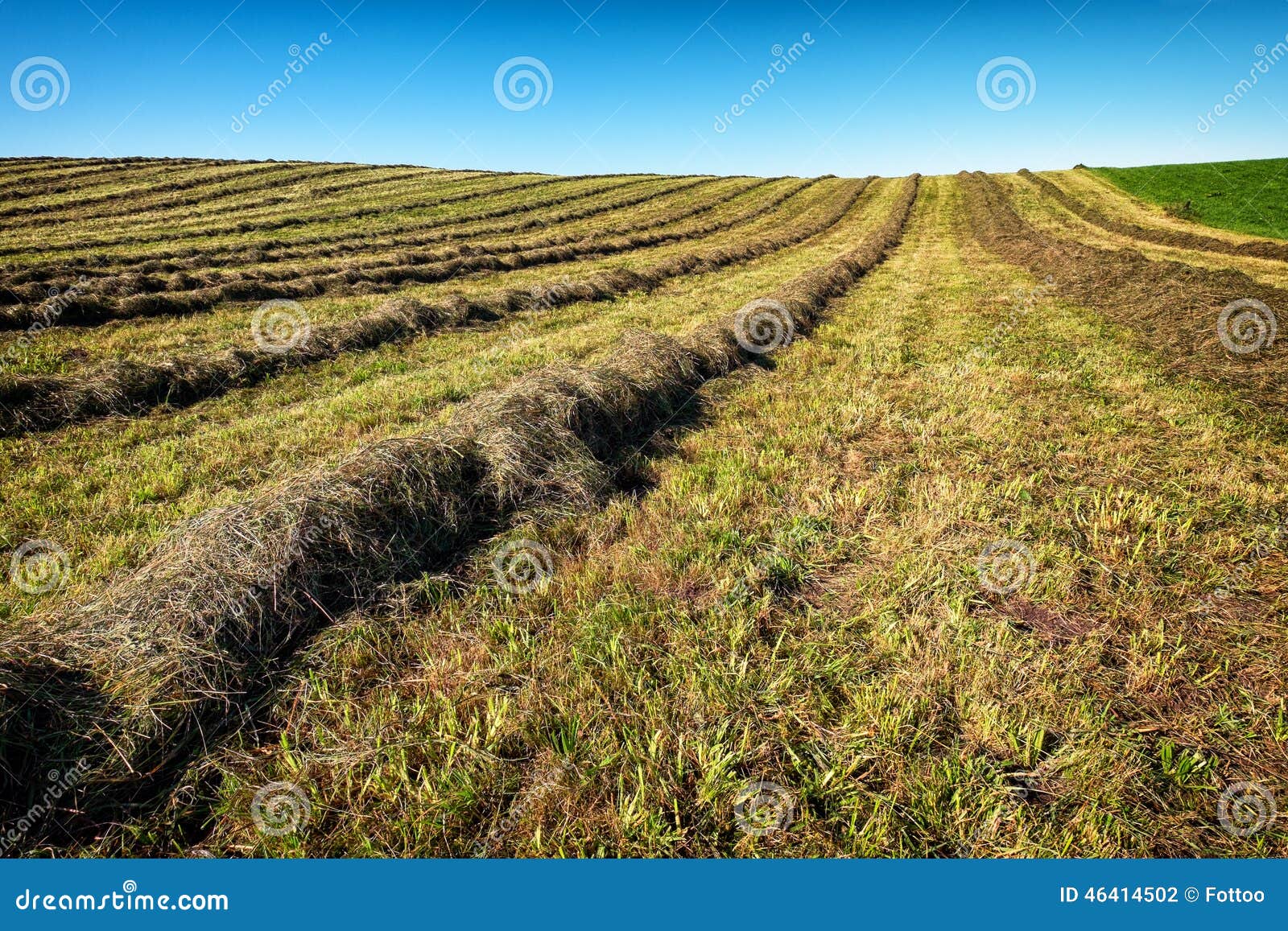 Hay field stock photo. Image of outdoors, space, backgrounds - 46414502