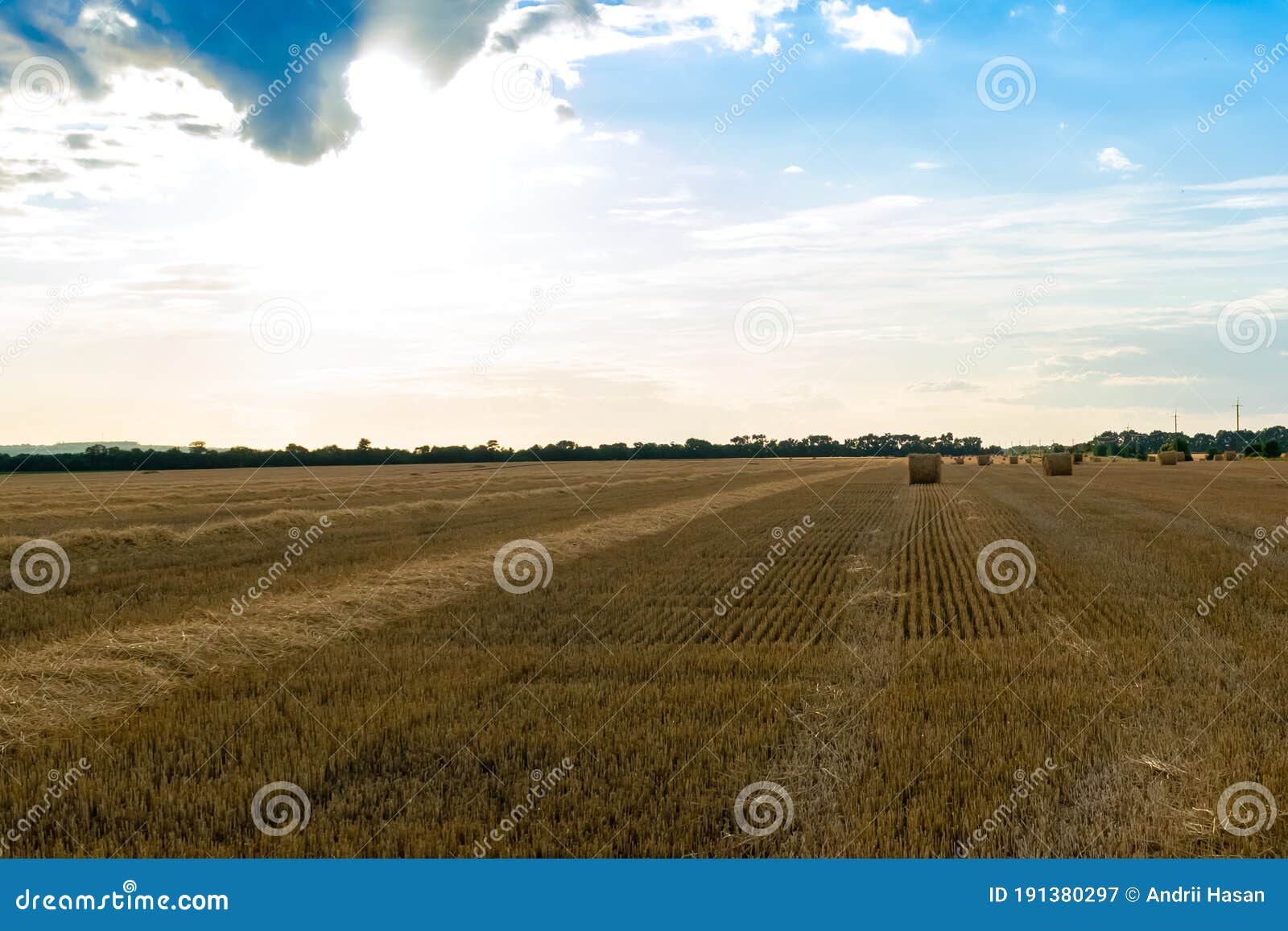 Hay field before sunset stock image. Image of harvest - 191380297