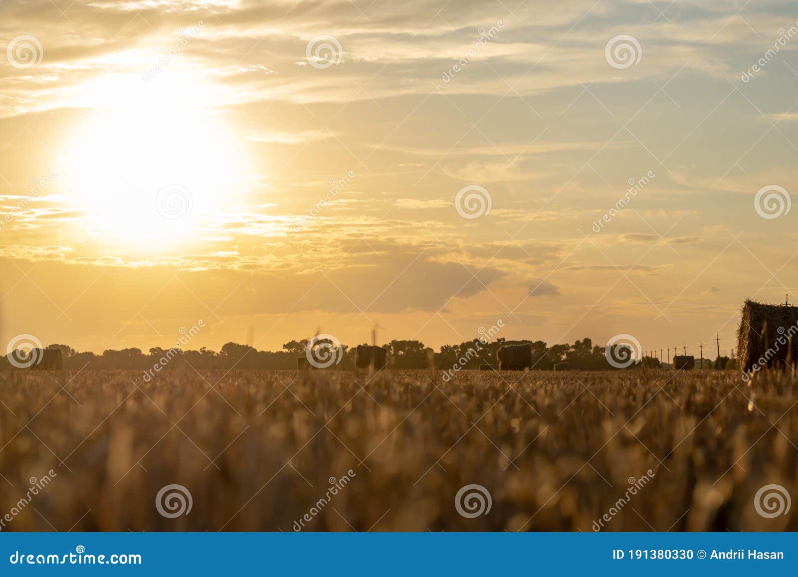 Hay field before sunset stock photo. Image of rural - 191380330