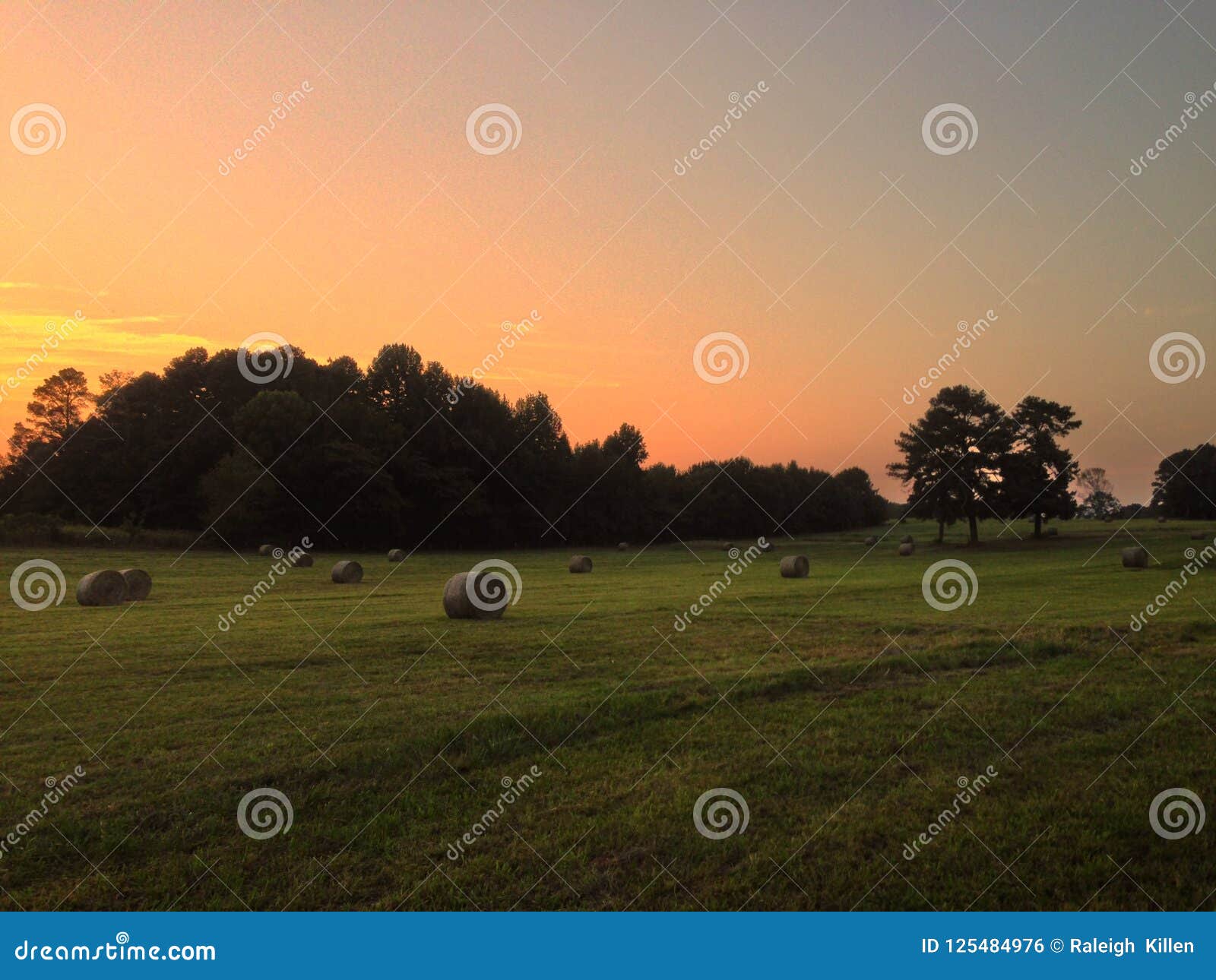 Hay Field at Sunset stock photo. Image of color, agricultural - 125484976
