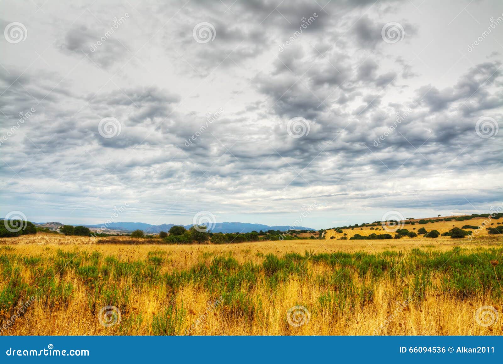 Hay Field Under an Overcast Sky Stock Photo - Image of grow, grass ...