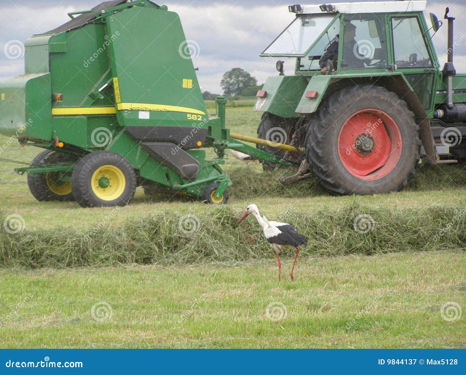 Hay gathering 5 editorial photography. Image of sheaves - 9844137