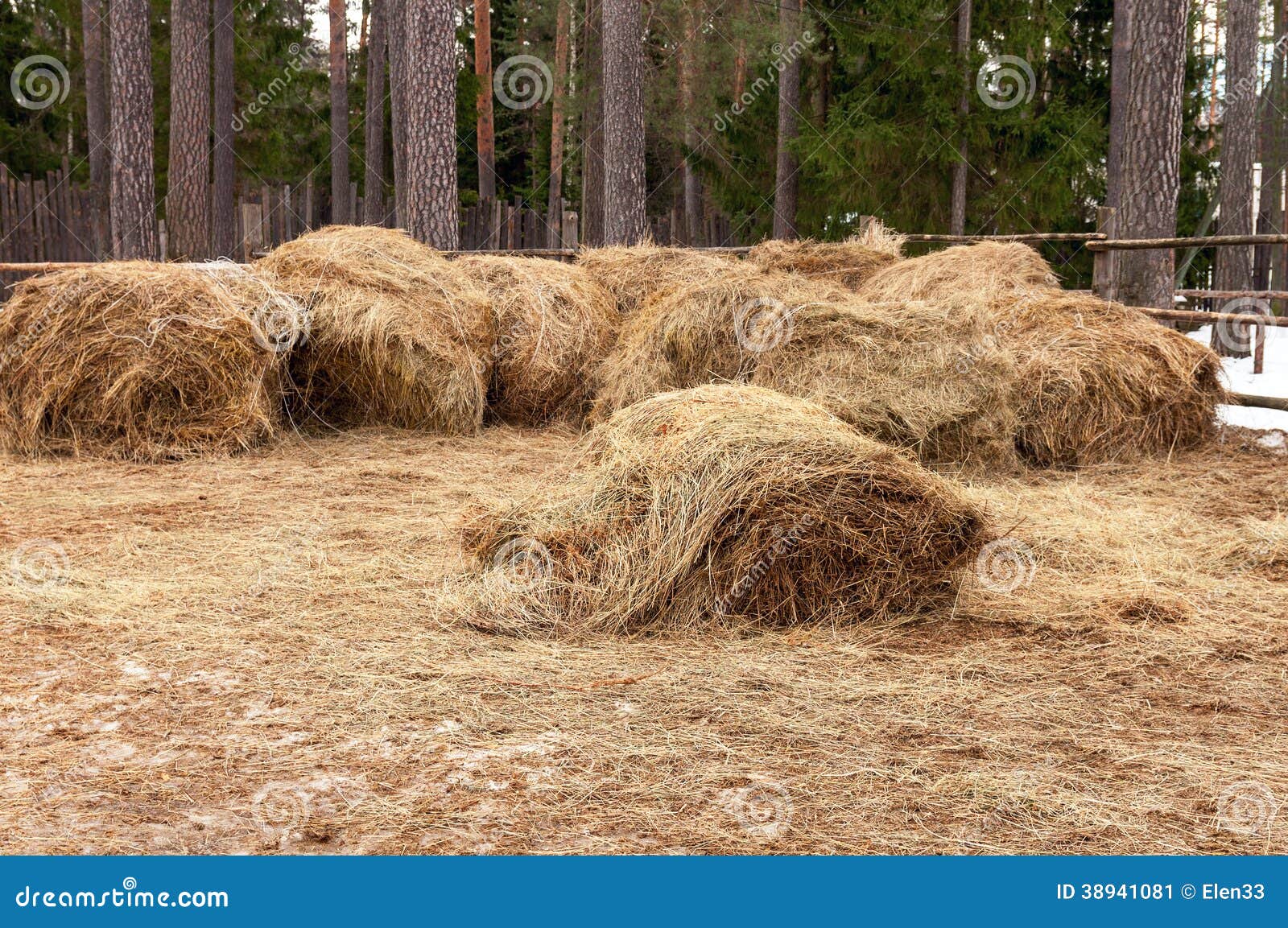 Hay stock image. Image of bale, food, snow, wheat, stack - 38941081