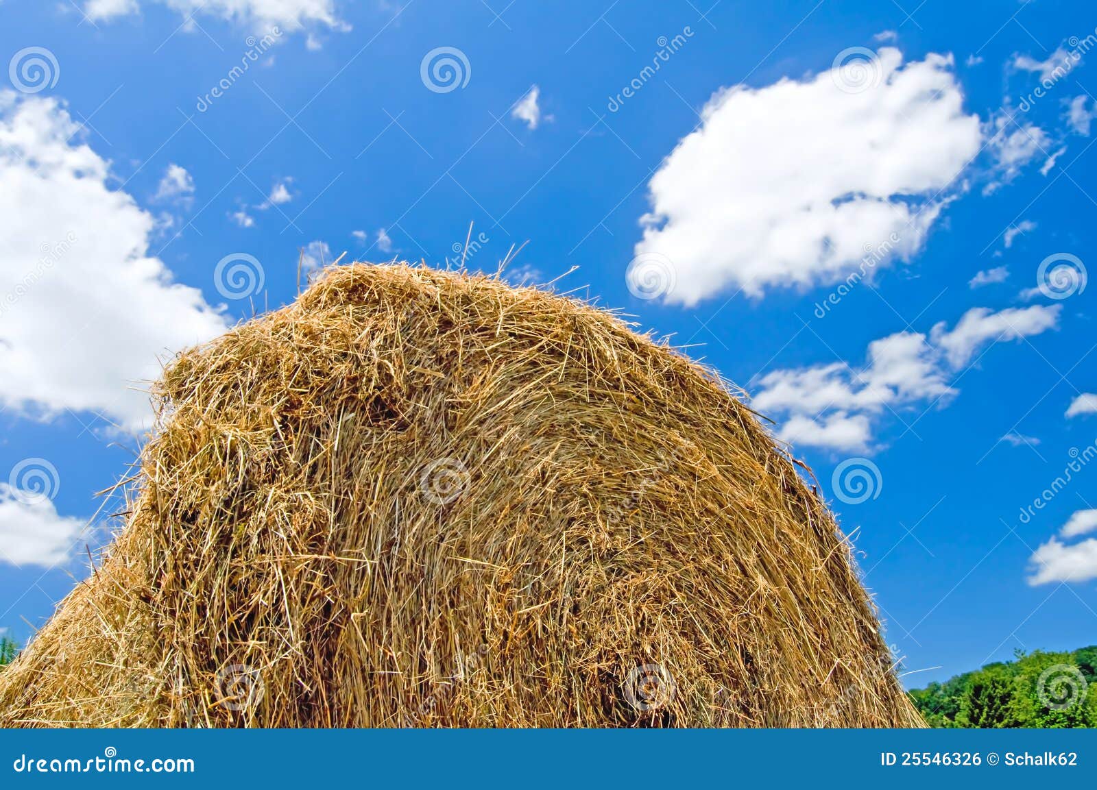 Hay harvest stock photo. Image of bale, field, harvest - 25546326