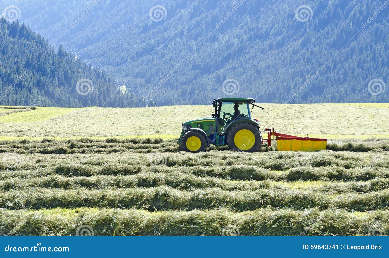 Hay harvest stock image. Image of tractor, farmer, machine - 59643741