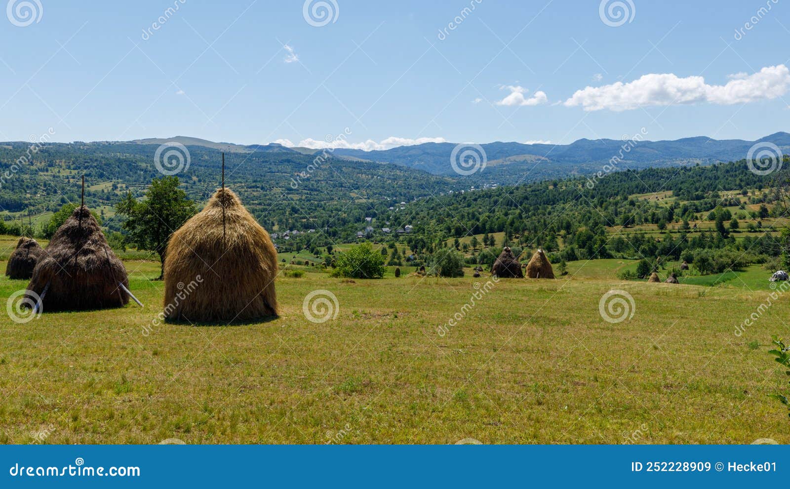 Hay Harvest in the Maramures Landscape of Romania Stock Image - Image ...