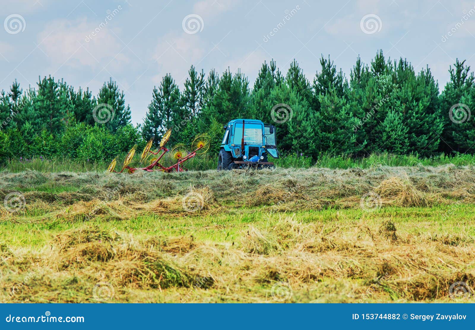 Hay Harvesting with the Help of Special Equipment Stock Photo - Image ...