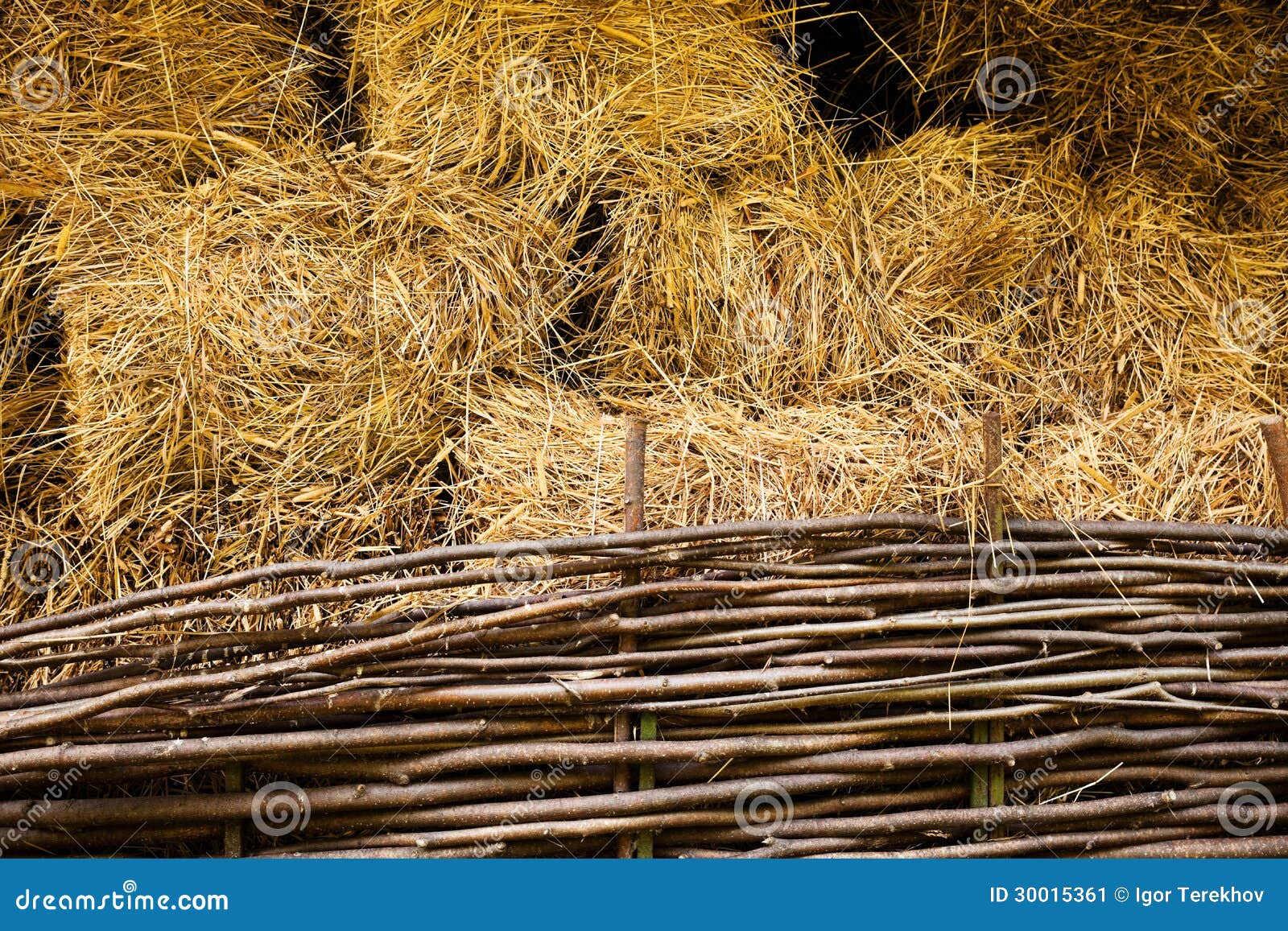 Hay stock image. Image of hayloft, rural, wall, bale - 30015361