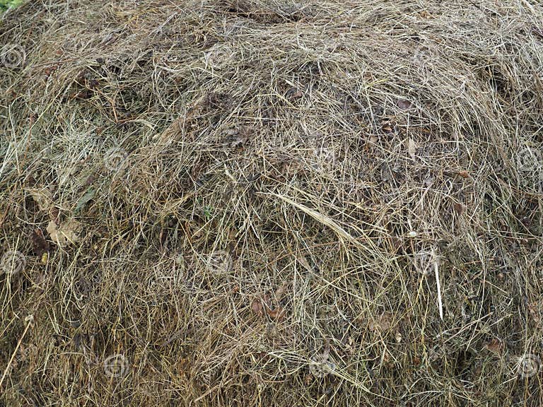 Hay heap background stock image. Image of grass, background - 191412981