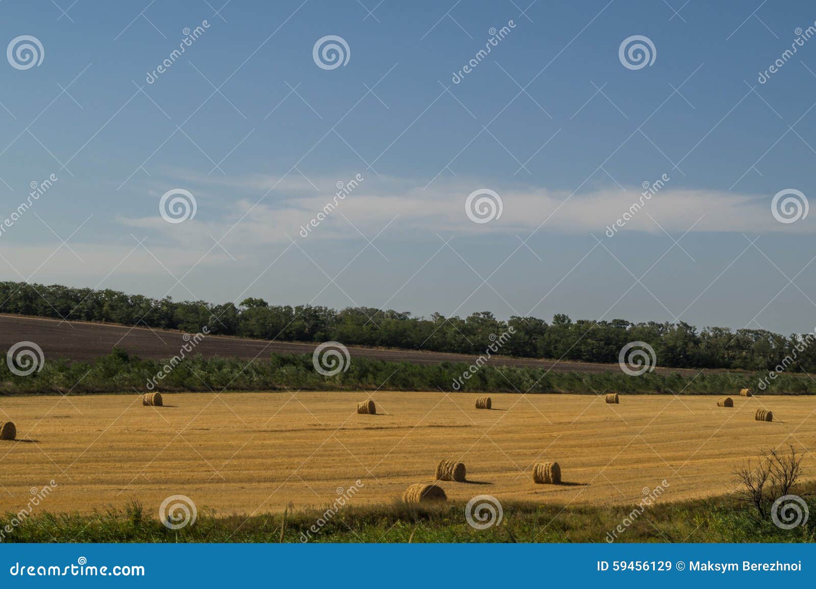 Hay in the hot summer stock image. Image of brim, scenery - 59456129