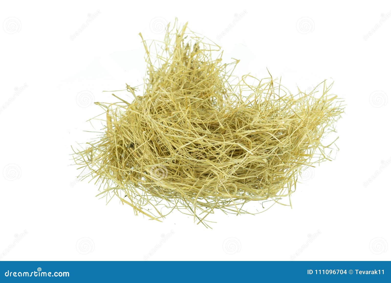 Hay Isolated on a White Background Stock Photo - Image of macro, plant ...