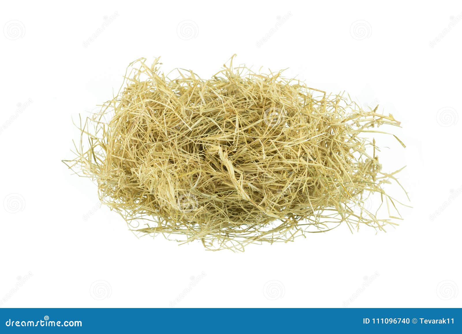 Hay Isolated on a White Background Stock Photo - Image of nature, brown ...
