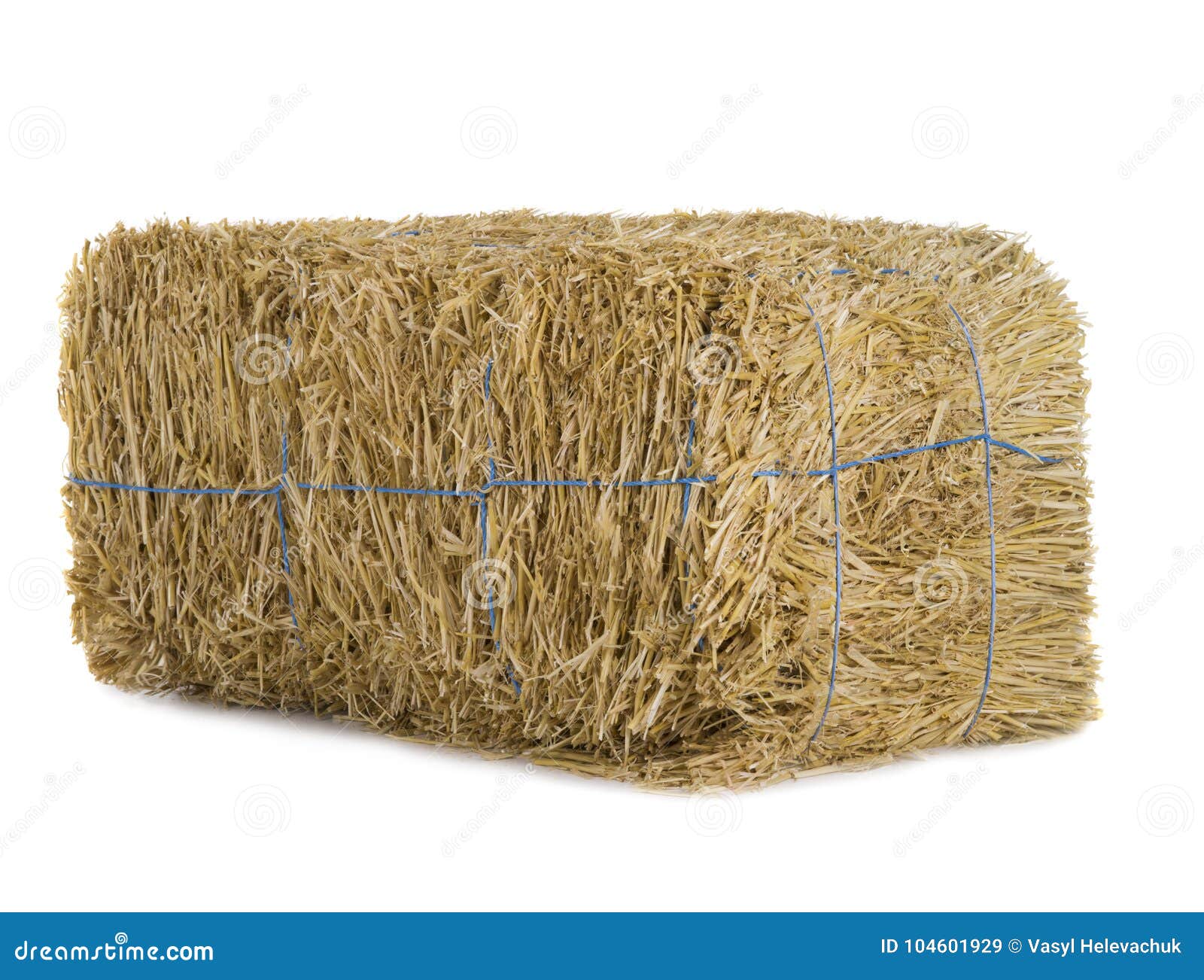 Hay isolated on a white stock image. Image of yellow - 104601929