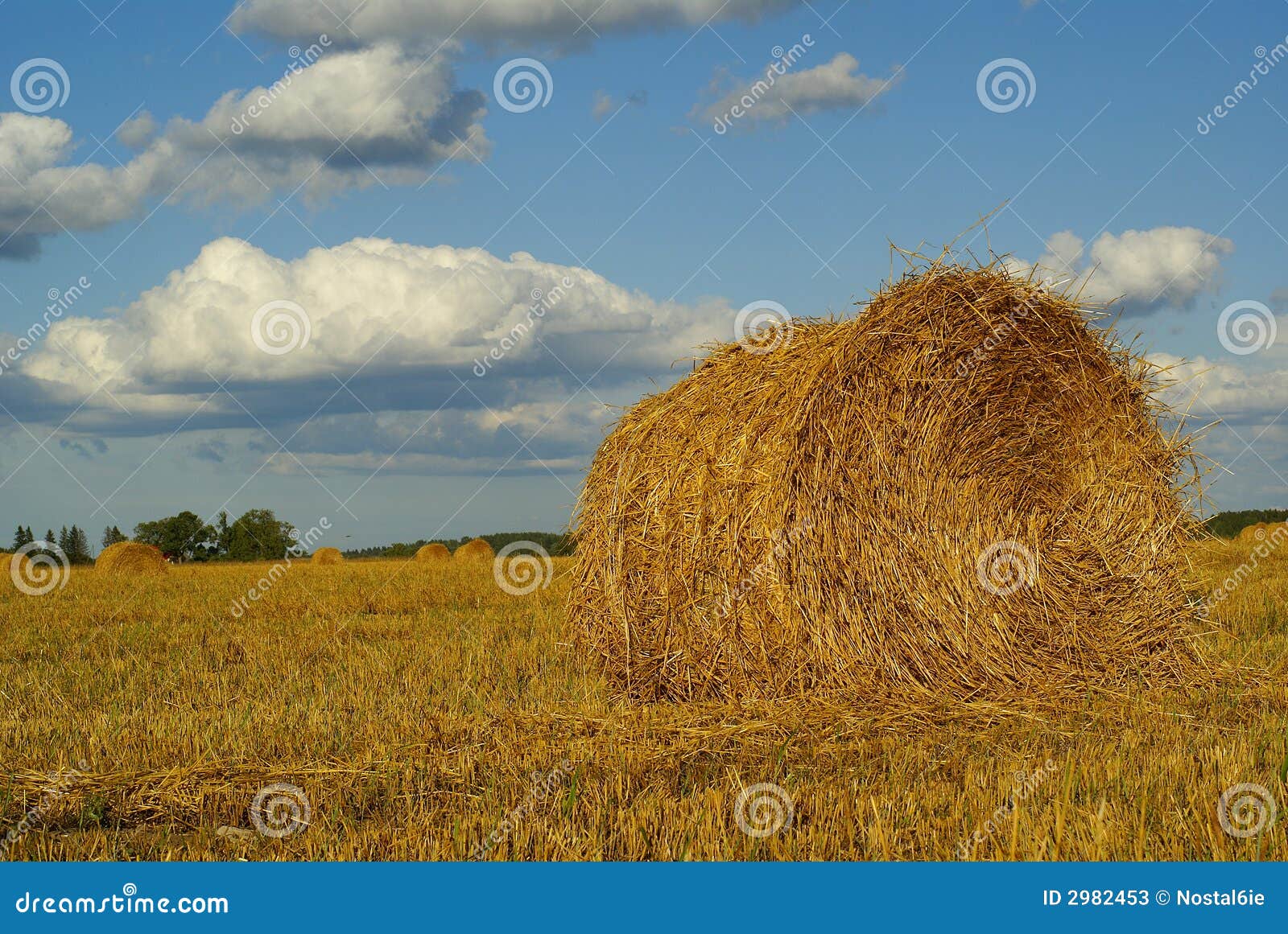 Hay landscape stock image. Image of bale, feed, agriculture - 2982453