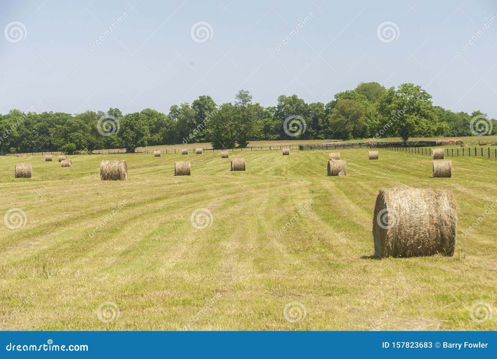 Round bales of hay stock image. Image of field, bales - 157823683