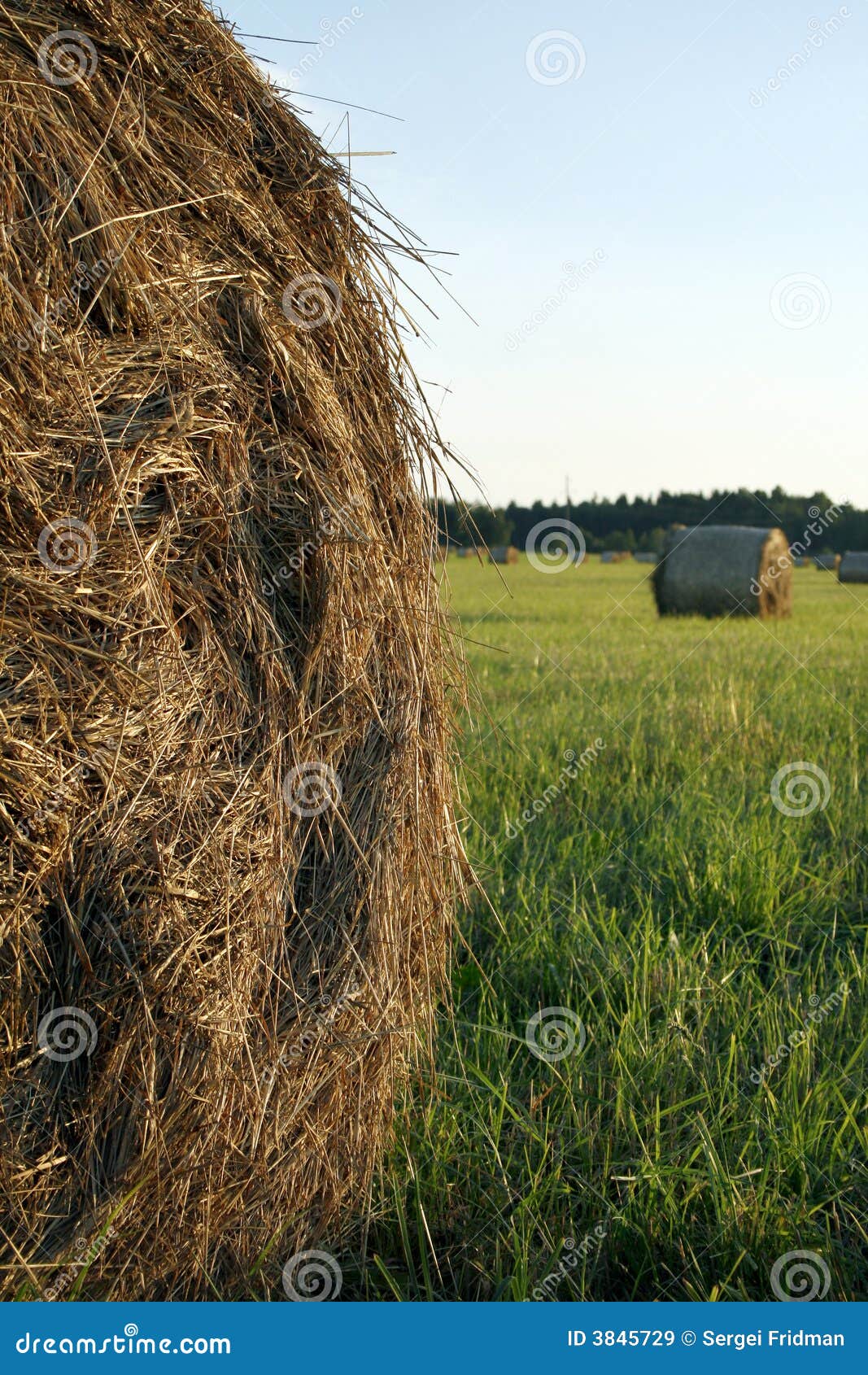 Hay making stock image. Image of crop, dusk, landscaped - 3845729