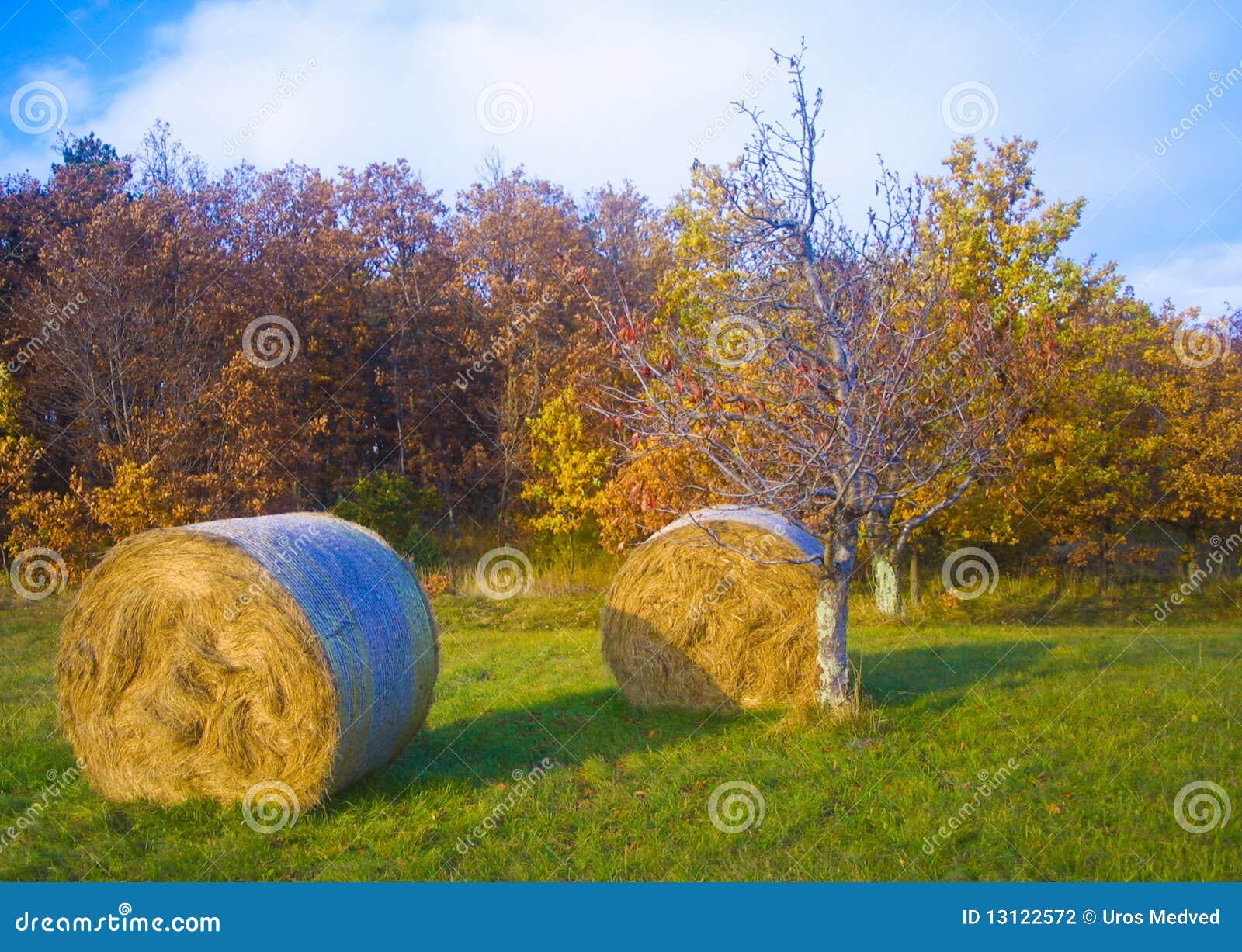 Hay on the meadow stock photo. Image of circle, farming - 13122572