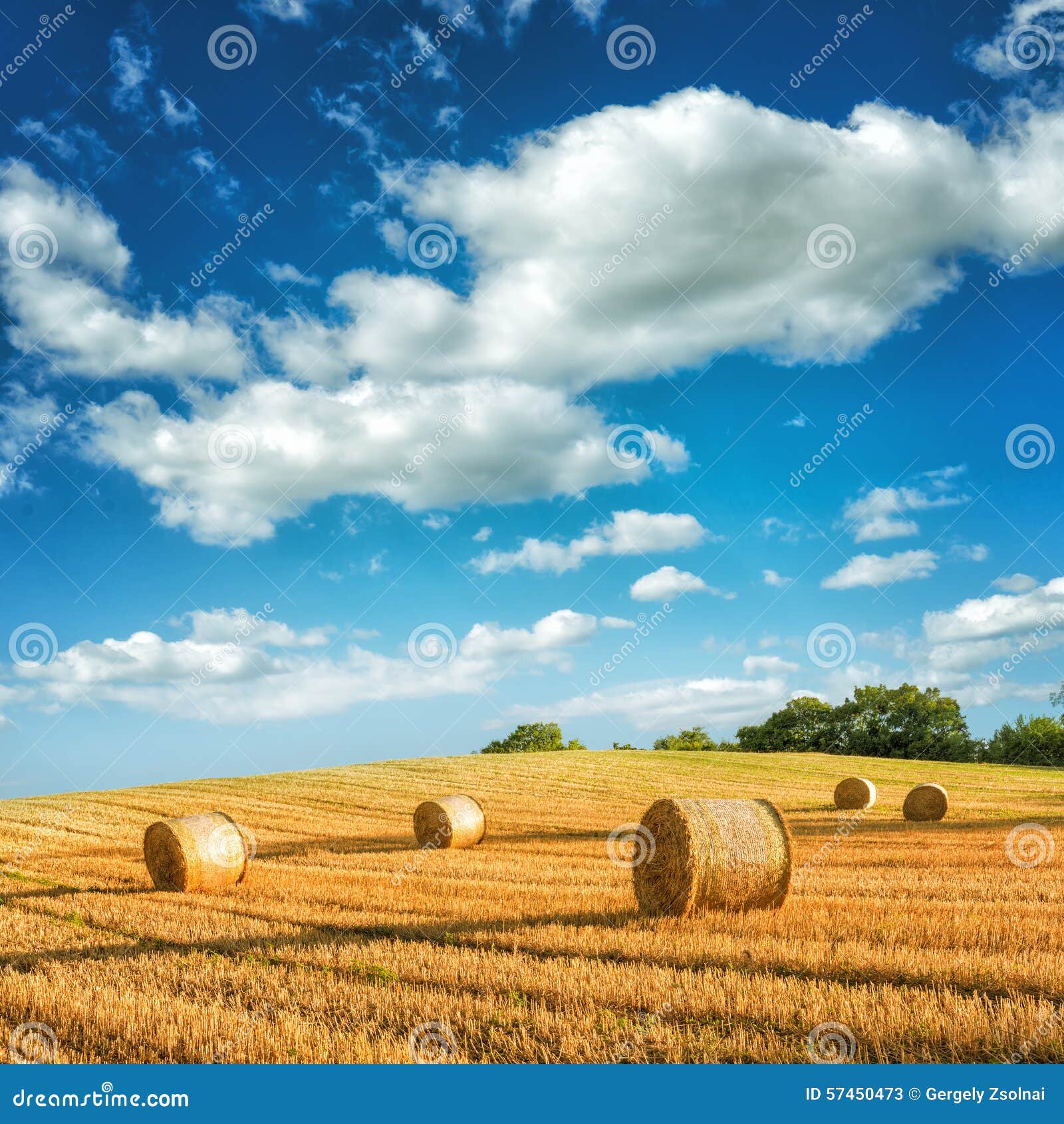 Hay in a Meadow, Fabulous Landscapes Stock Image - Image of golden ...