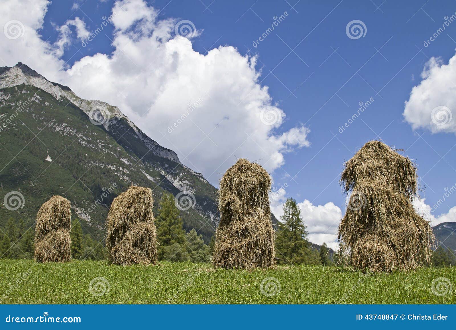 Hay men in Tyrol stock image. Image of austria, agriculture - 43748847