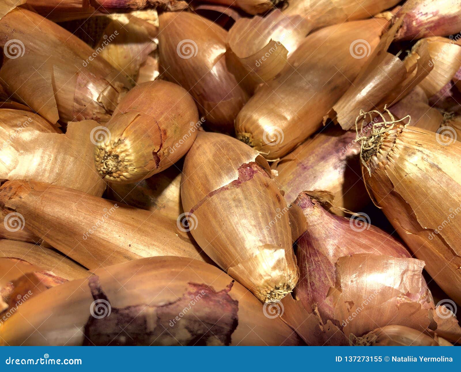 Hay Muchas Frutas De Chalotes En El Escaparate Imagen de archivo ...