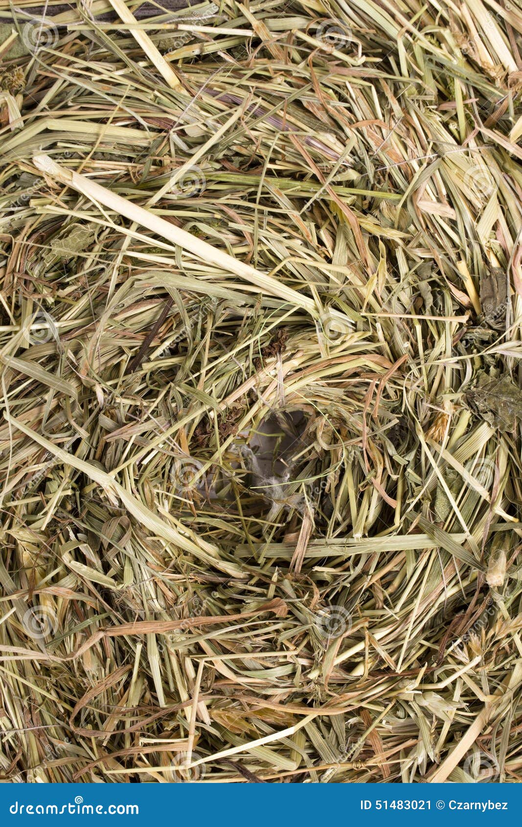 Nest Texture Stock Photo | CartoonDealer.com #79028496