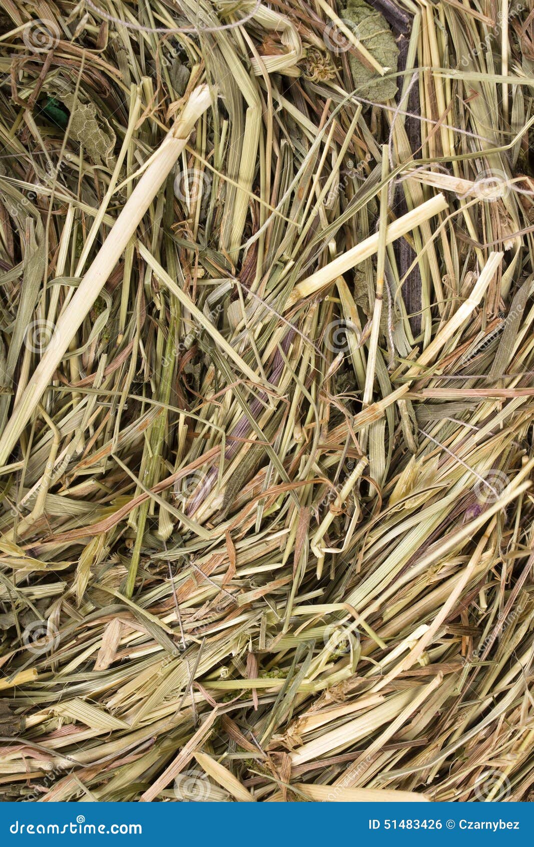 Nest Texture Stock Photo | CartoonDealer.com #79028496