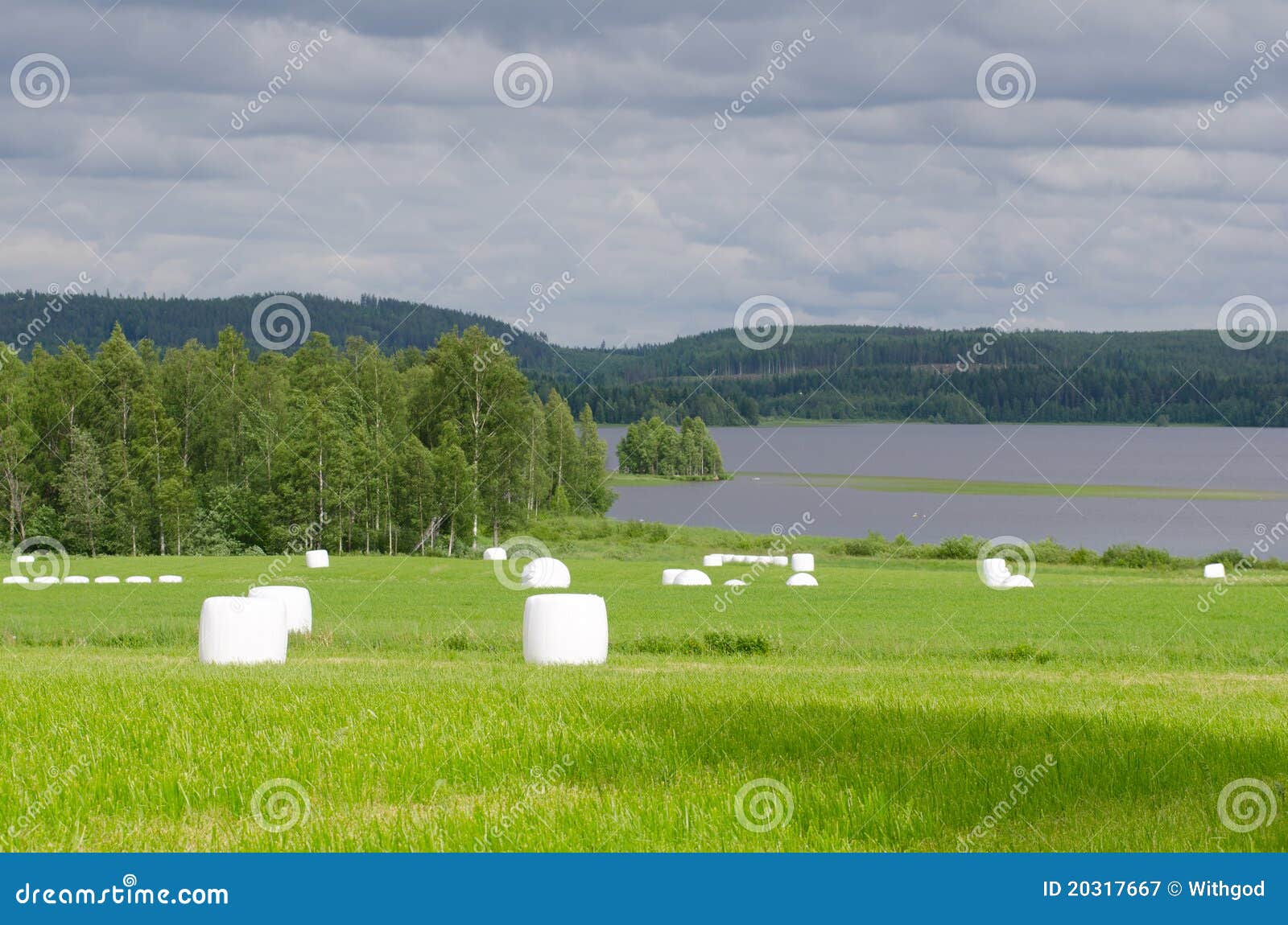 Hay packs stock image. Image of cloudy, nature, laying - 20317667