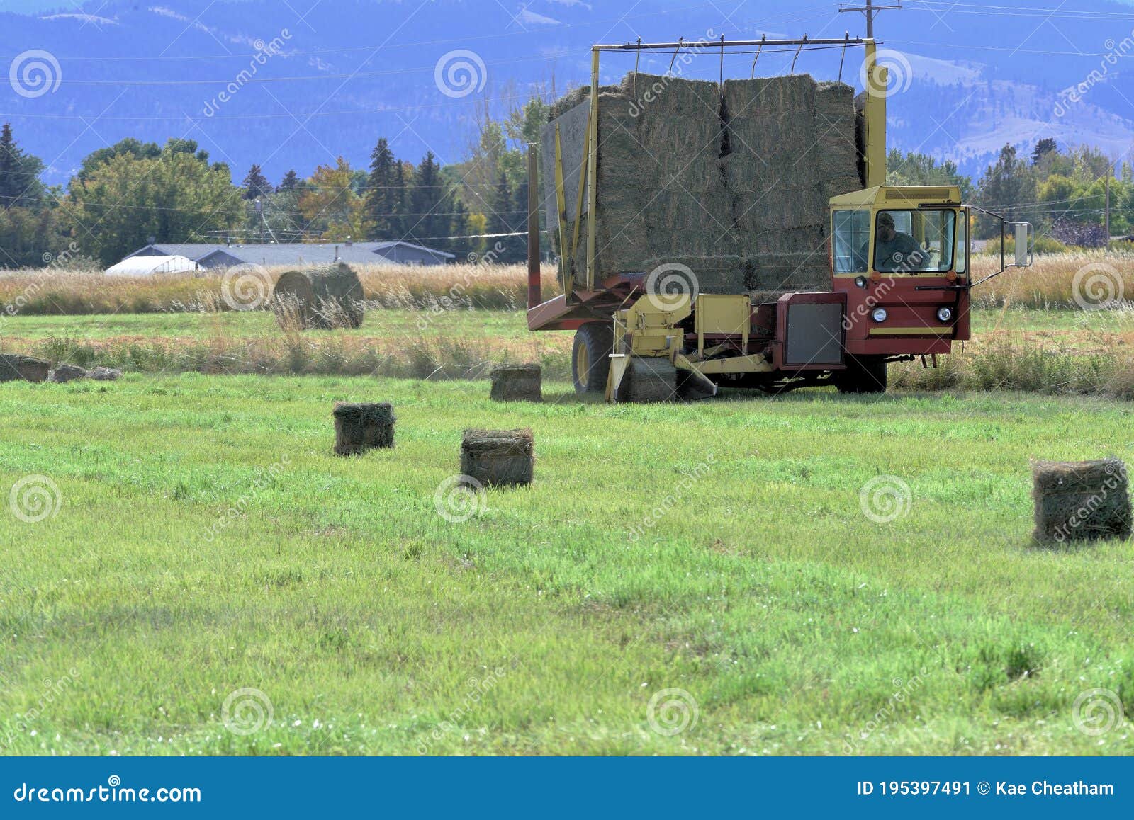 Hay Picker at Work in a Summer Hay Field. Stock Image - Image of ...