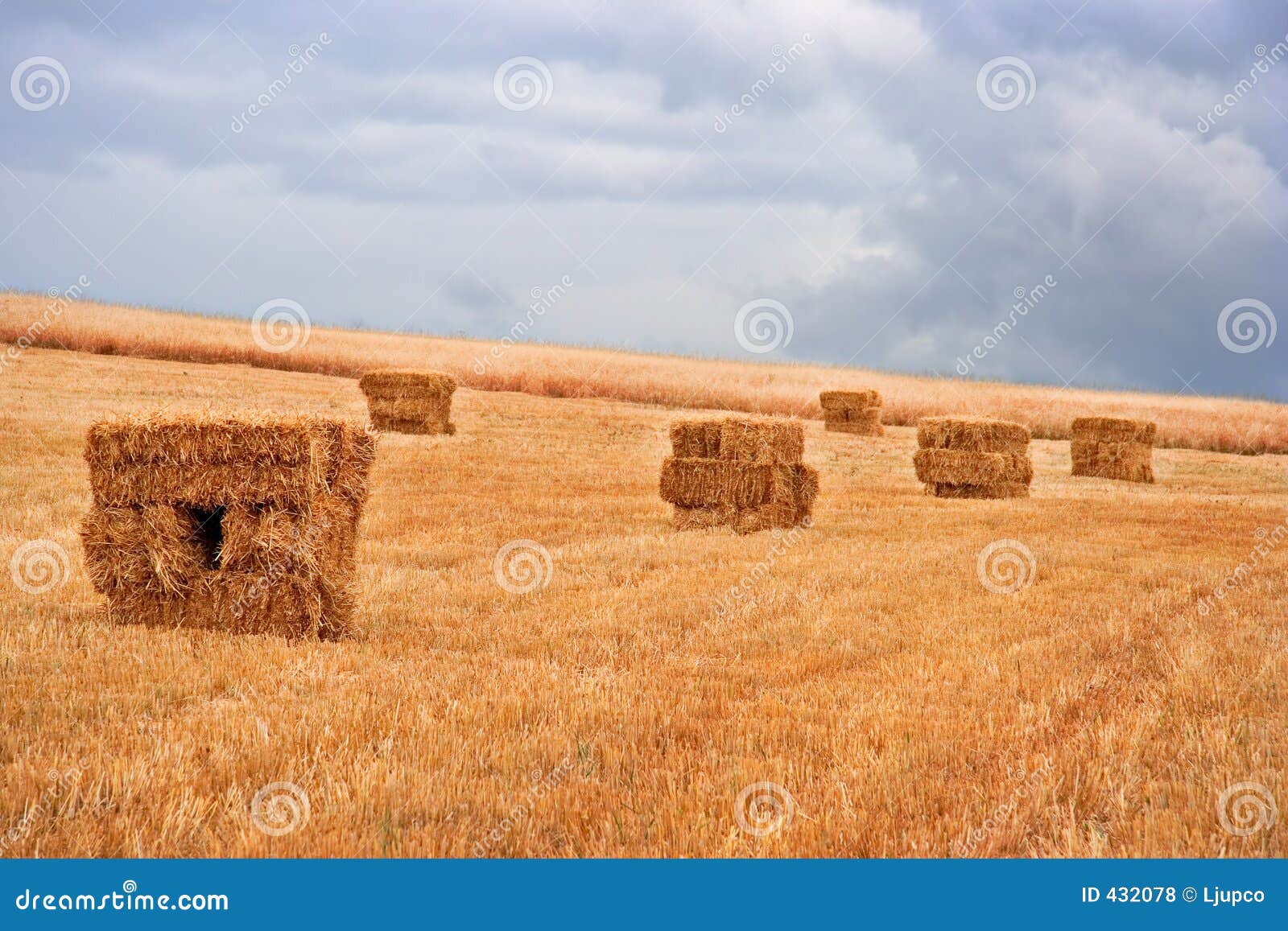 Hay pile stock photo. Image of crop, fall, color, earth - 432078