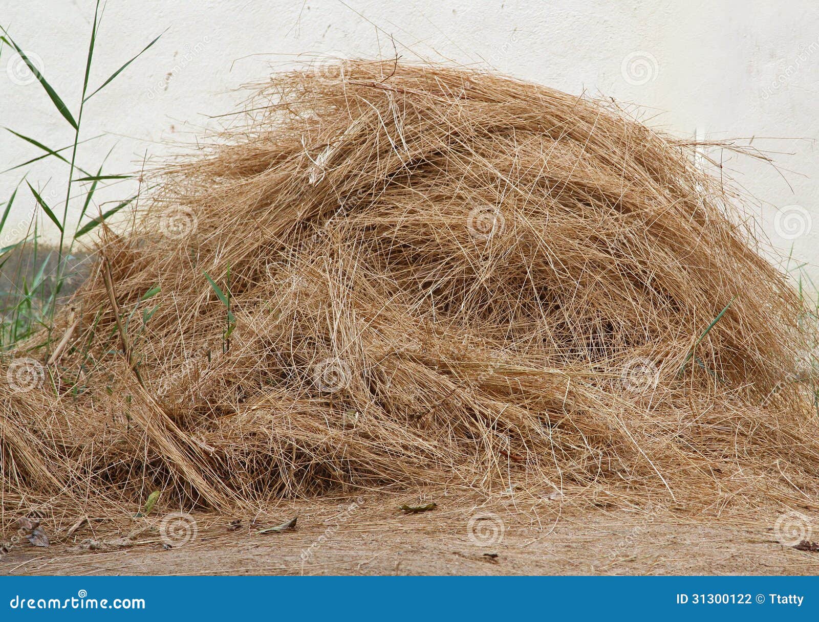 Hay pile stock photo. Image of farm, outdoor, farmland - 31300122