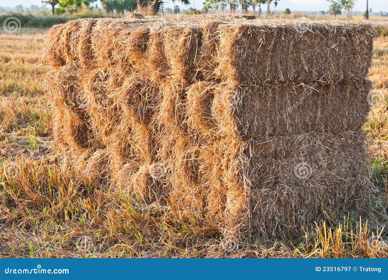 Hay Pile at the Countryside Stock Image - Image of harvesting, farm ...