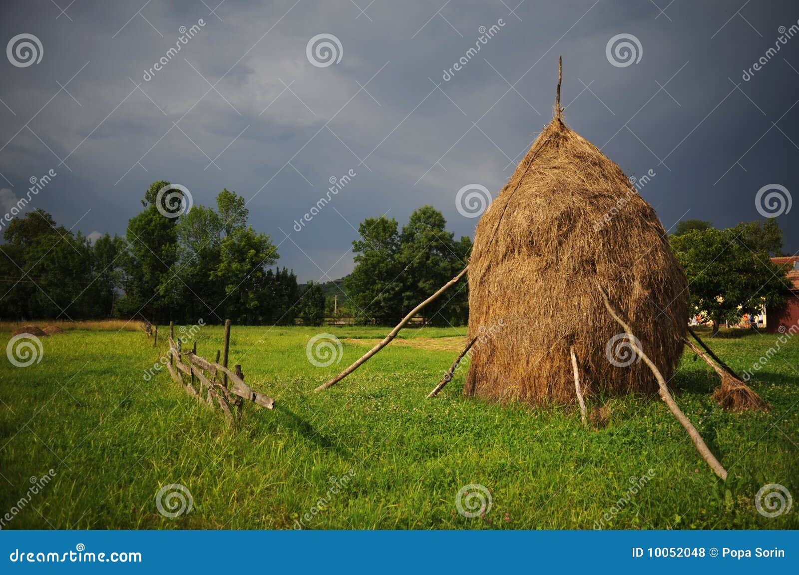 Hay piles stock photo. Image of crop, landscape, countryside - 10052048