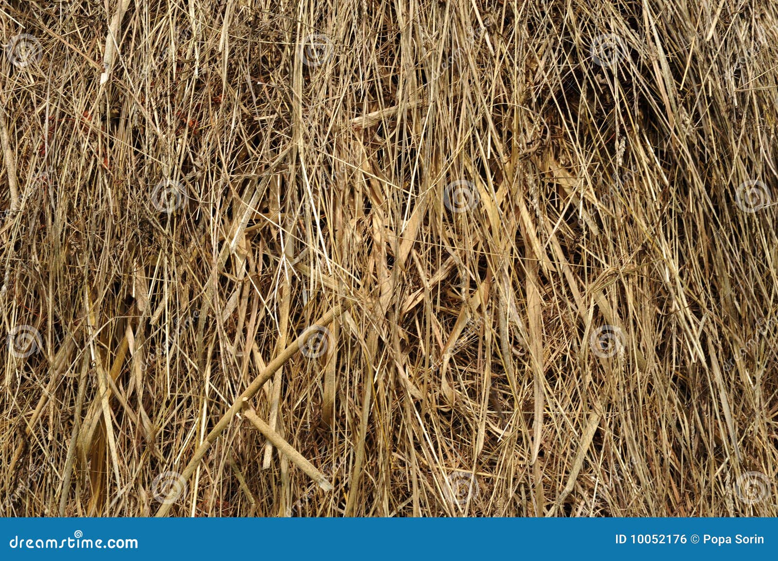 Hay piles stock photo. Image of beauty, land, nature - 10052176