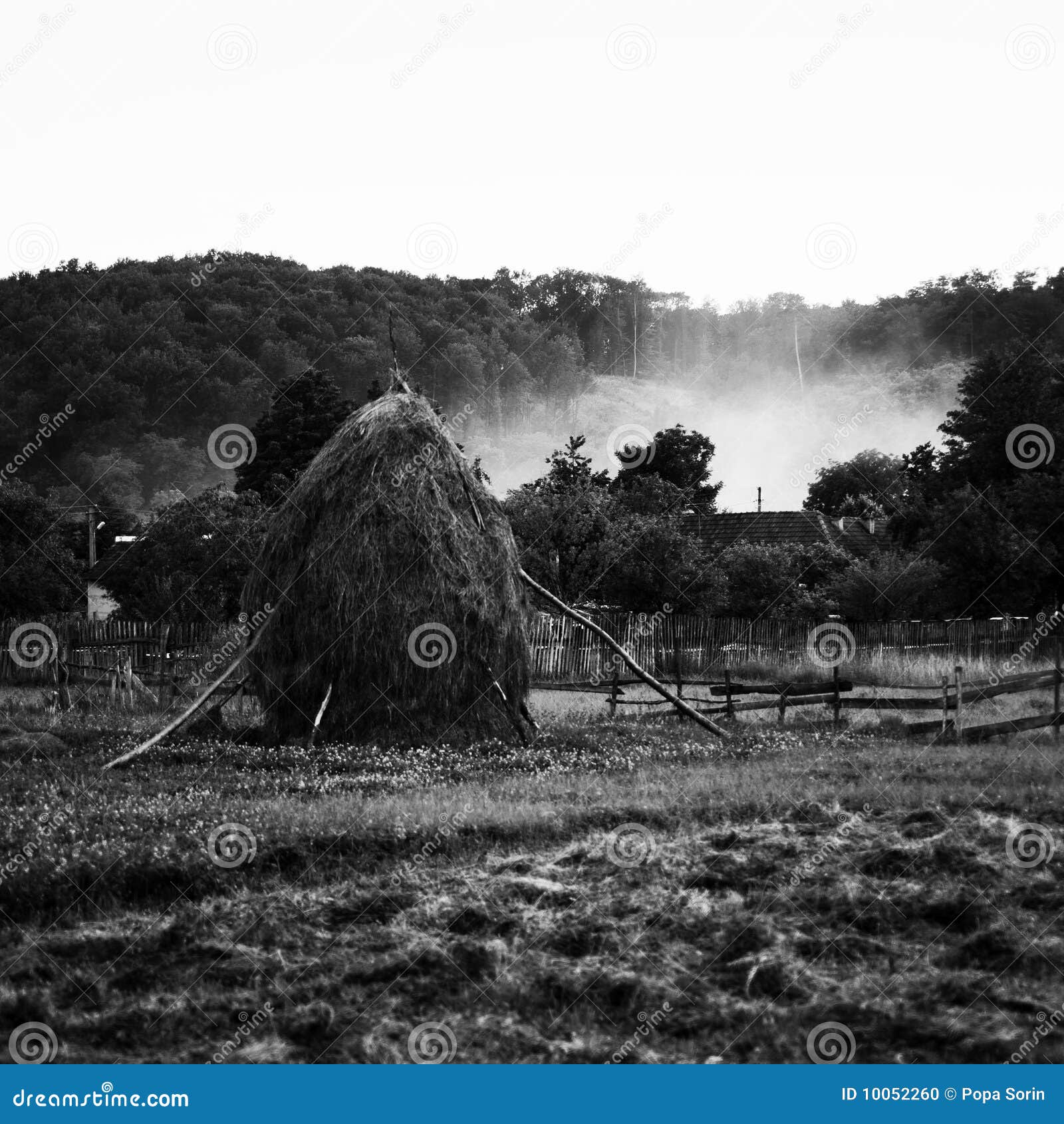 Hay piles stock photo. Image of roll, land, peace, countryside - 10052260